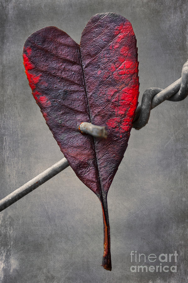 Opposites Attract – Love Letter Daily